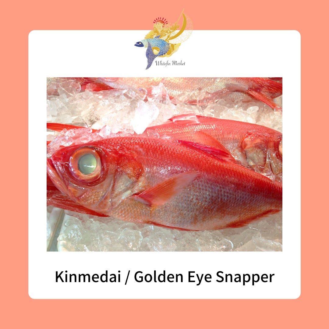 Golden Eye Snapper / Kinmedai – UO SEAOOD